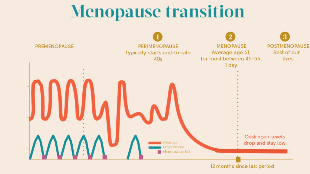 Exploring the Climacteric Period: Understanding the Transition ...