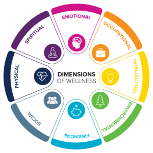 The Joys and Challenges of a Simple Vulvectomy: - JiangRuoan.com