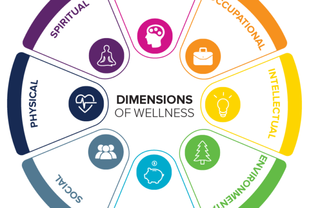 Posterior colpotomy: A Comprehensive Guide to Surgical Procedure ...