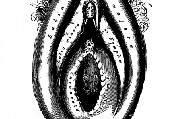 Posterior colpotomy: A Comprehensive Guide to Surgical Procedure ...